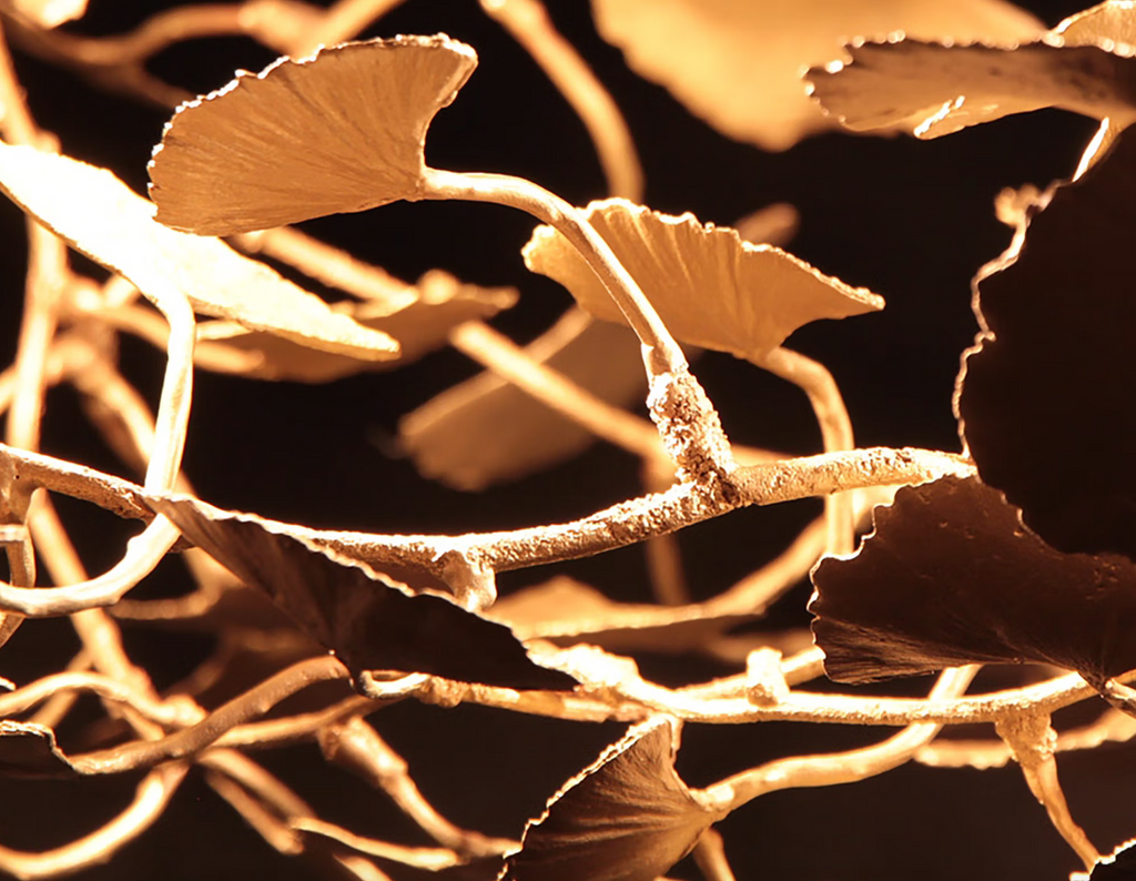 GINKGO LAMP – FREEMAN GALLERY